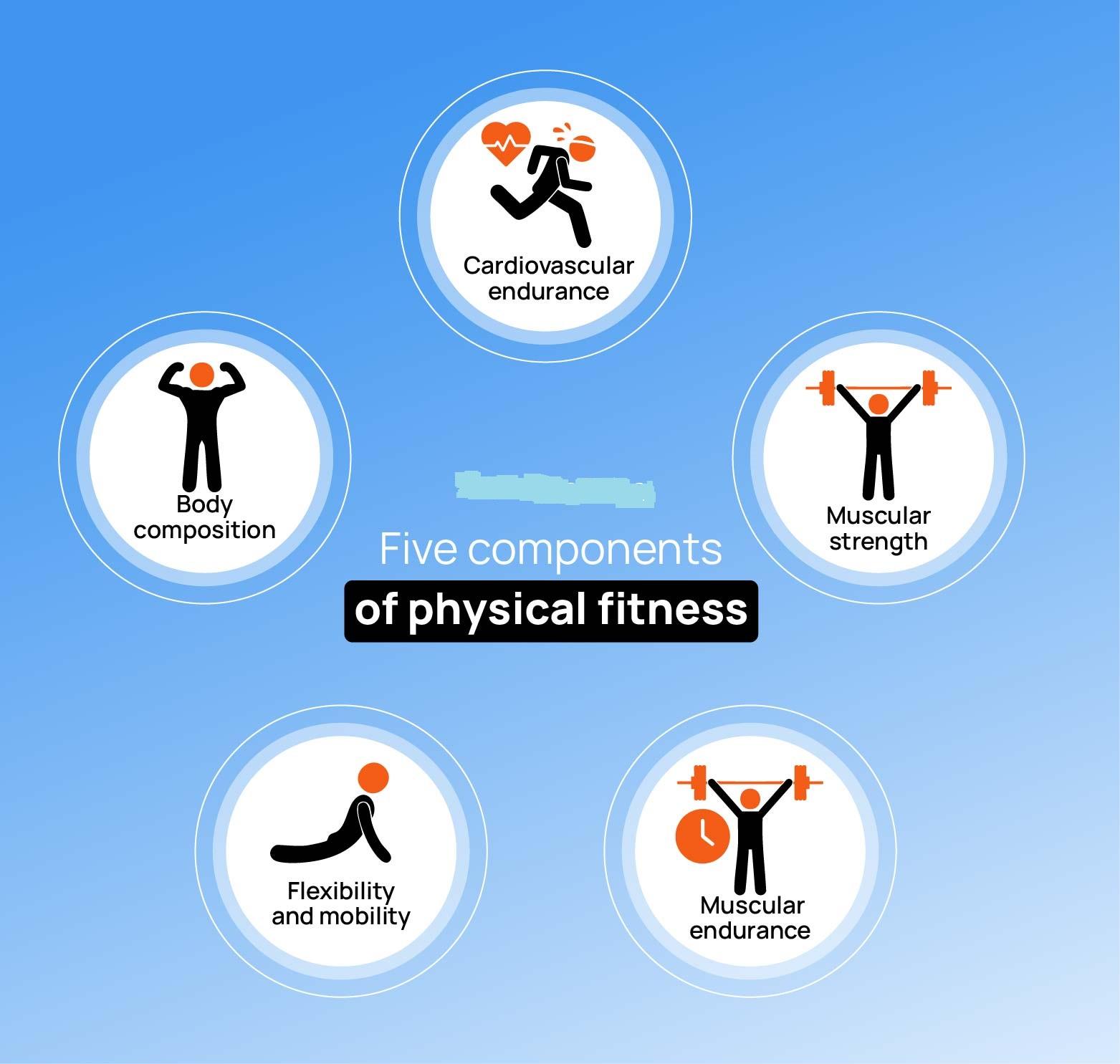 The Ultimate Guide to Physical Fitness: Benefits, Components,...